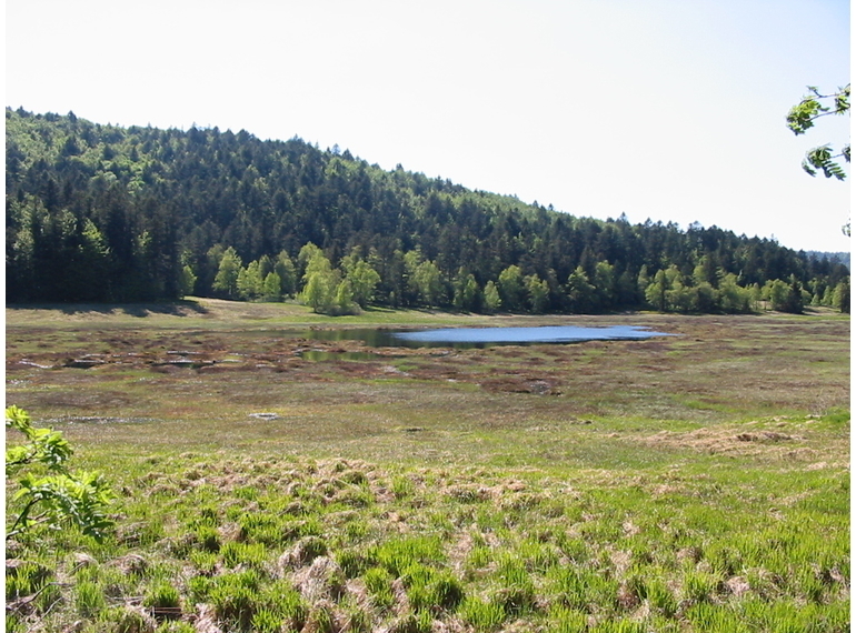 La tourbe et les tourbières - KCF
